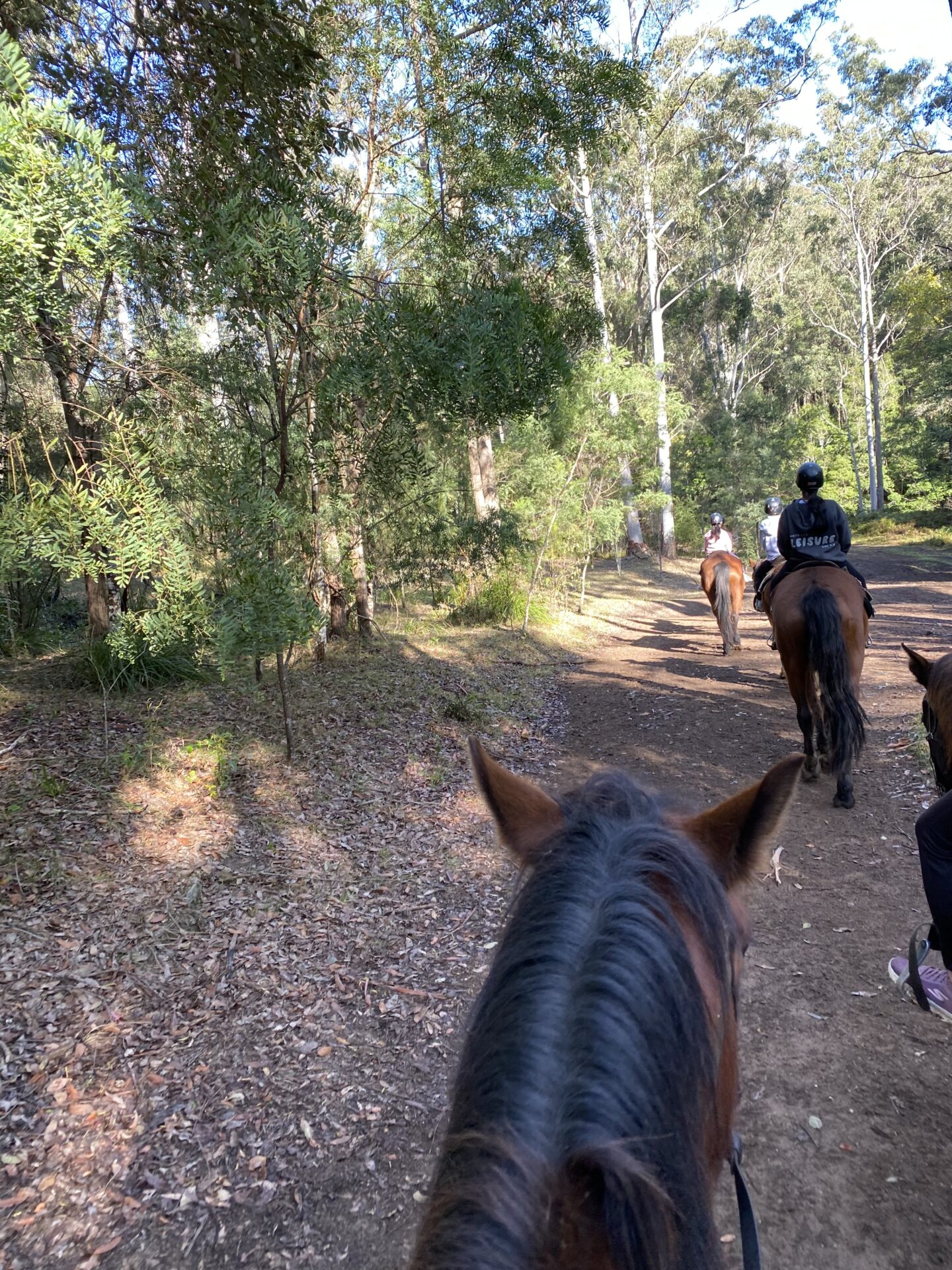 Pymble’s Outdoor Education Continuum – Vision Valley
