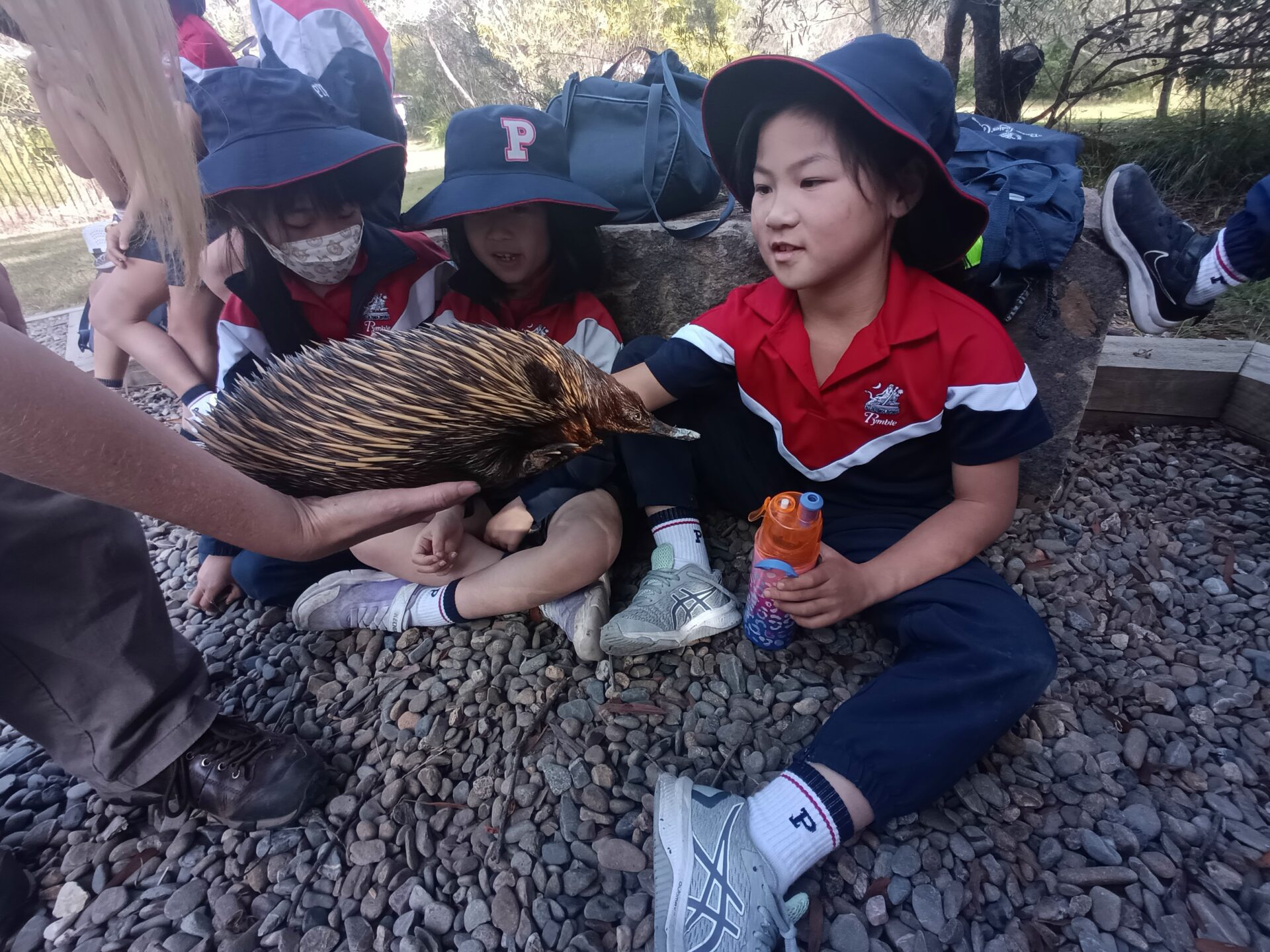Pymble’s Outdoor Education Continuum – Vision Valley