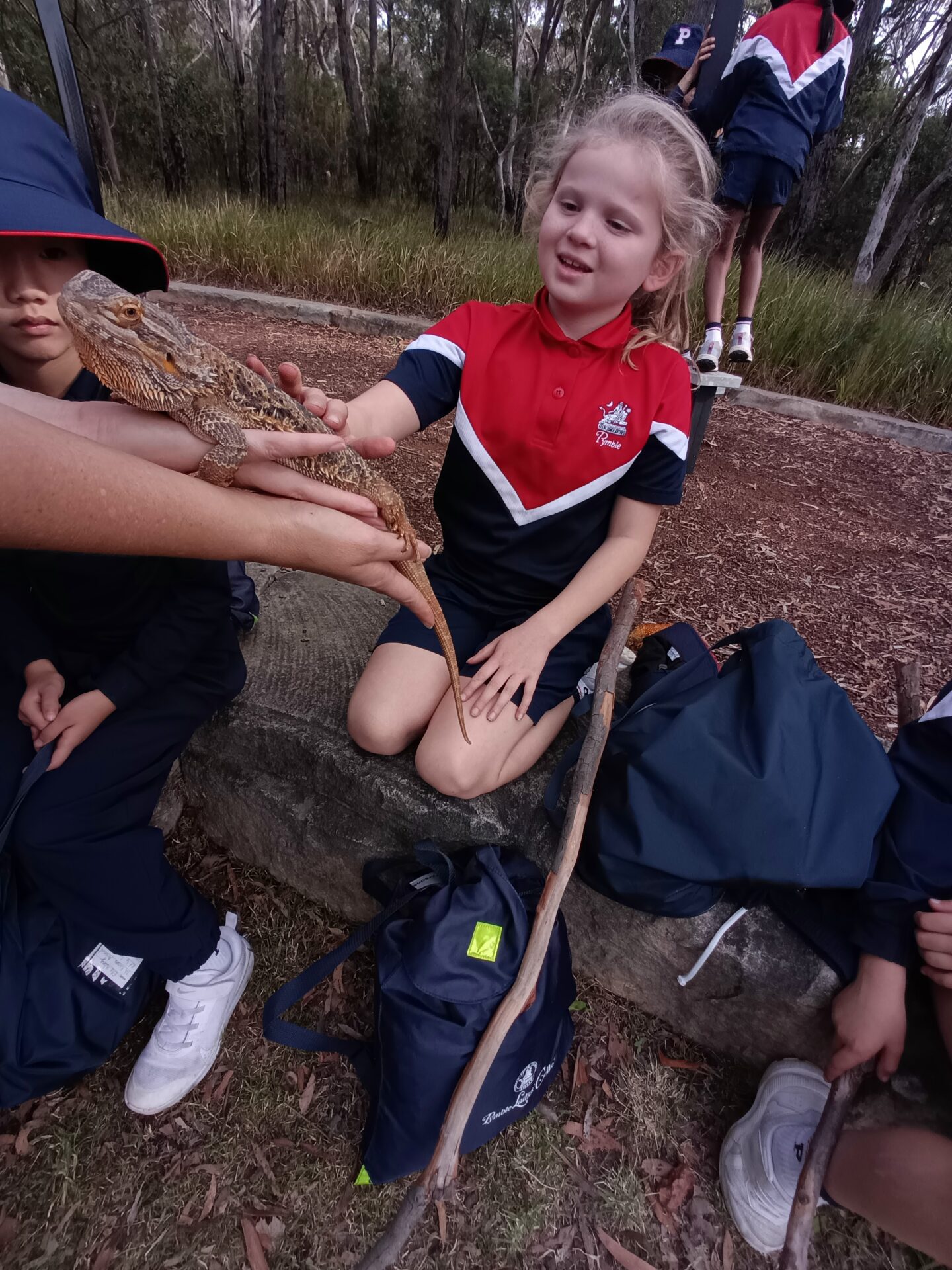 Pymble’s Outdoor Education Continuum – Vision Valley
