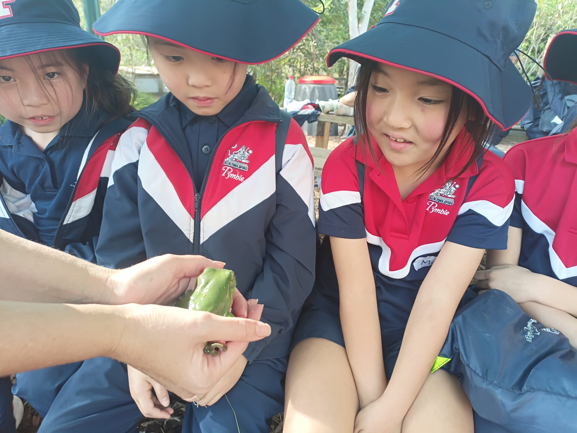 Pymble’s Outdoor Education Continuum – Vision Valley