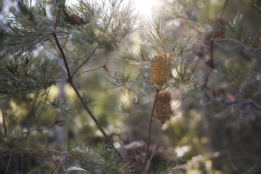 Accommodation – Vision Valley