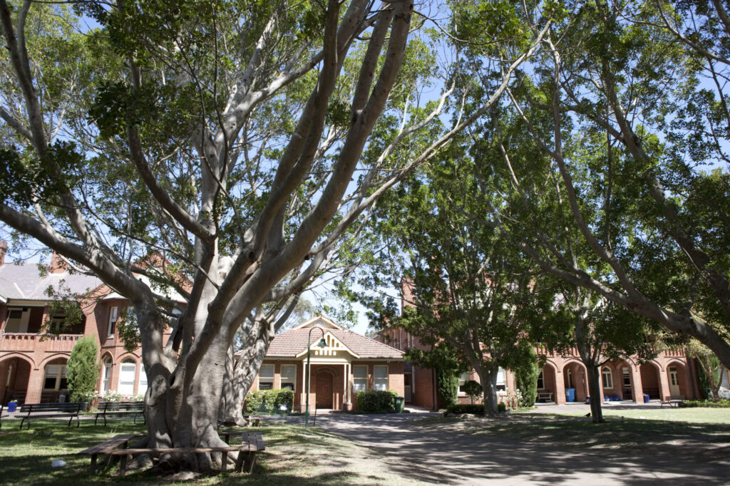 Ex-Student Tour – Pymble Ladies' College